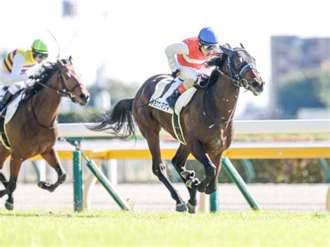 【きさらぎ賞予想】クラシックにつながる重要な一戦、成長著しいあの馬に期待 競馬ニュース