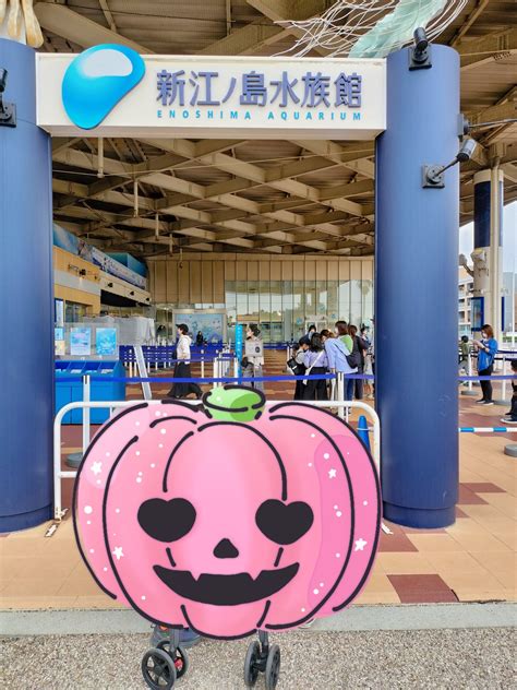 れの On Twitter えのすいに行ってきた！ しかし！！痛恨のミス！ もちを持って行くのを忘れました😇持ち歩く習慣がなくて😭😭😭