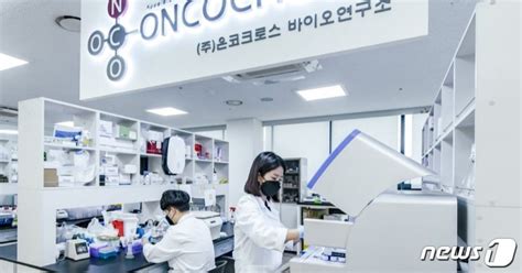 Ai 신약 개발 온코크로스 올a 받고 Ipo 재도전상장예심 청구