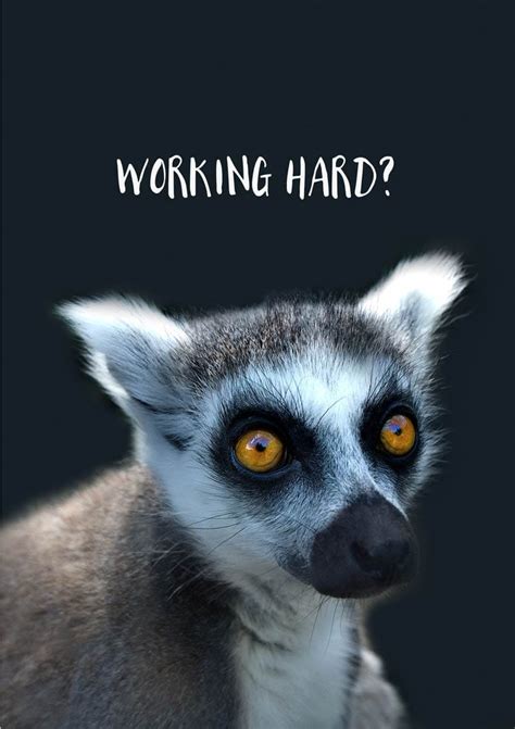 A Card With A Ring Tailed Lemur And Text Working Hard