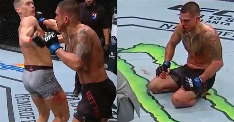 El Brutal Nocaut Que Hizo Estremecer Al Mundo De La Ufc Infobae