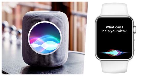 Siri偷偷录下了你的语音 Apple爆出窃听风云 网热 访问 The Interview