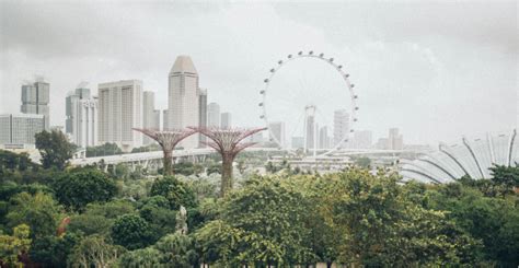Mapping Urban Green Spaces The Spatial Revolution For 15 Minute Cities