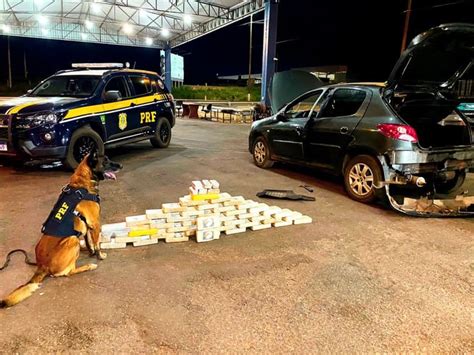 A Tribuna Mt Em Rondonópolis Prf Descobre Drogas Em Veículo