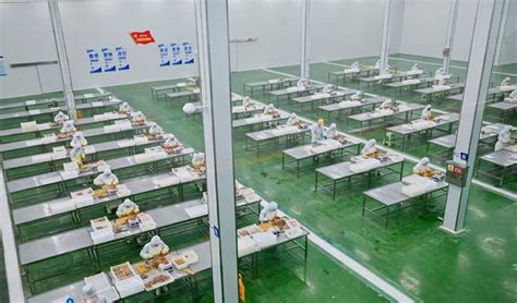 河南印發行動方案 制定預製菜産業發展“路線圖” 國際在線移動版