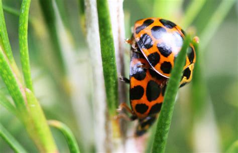 Sunday Holy Crap Its Sunday Sleepless Nights