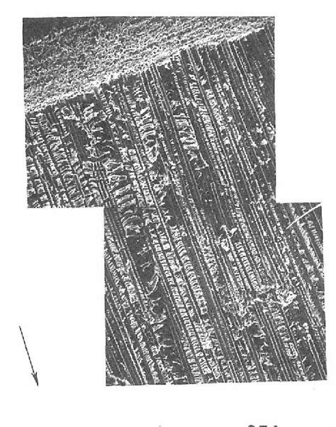 Figure 11 From Evaluation Of Mode Ii Fracture Toughness In Unidirectional Gfrp Using Four Point