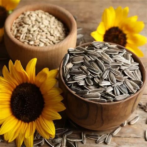 خرید و قیمت تخمه آفتابگردان بوداده بی نمک200گرم افتاب دور سفید بوداده
