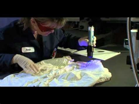 Sexual Assault Training Video Medical Examination YouTube