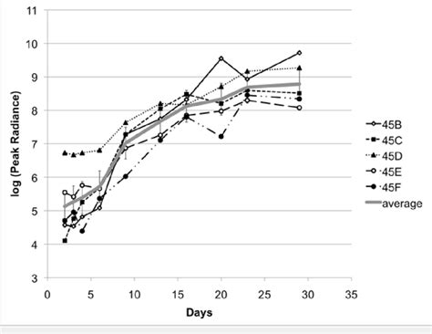 Quantitative Values Of Serial Measurements Of BLI Signal Download Scientific Diagram