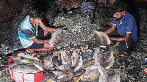 पहिल्यांदाच पकडले एवढे खूप मासे समुद्रावरची तुफान मासेमारी Bait