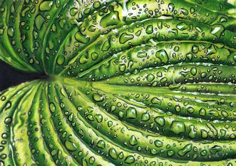 10 Fabulous Grayscale Coloring Tips Huelish Grayscale Adult Coloring Books