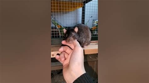 When Scratchies Are Real Good Youtube