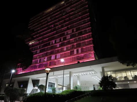 Junho Violeta Como Campinas Está Transformando a Luta Contra a Violência à Pessoa Idosa em