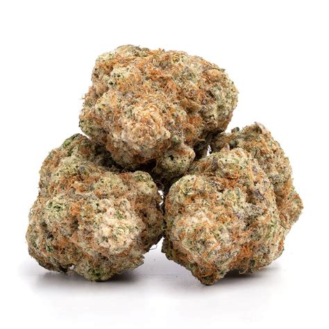 Buy Gmo Cookies Potent Indica Hybrid Cannabis In Bulk And Retail