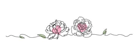 모란 꽃 라인 아트 흰색 절연 꽃 심장 연속 라인 손으로 그린 벡터 일러스트 레이 션 0명에 대한 스톡 벡터 아트 및 기타