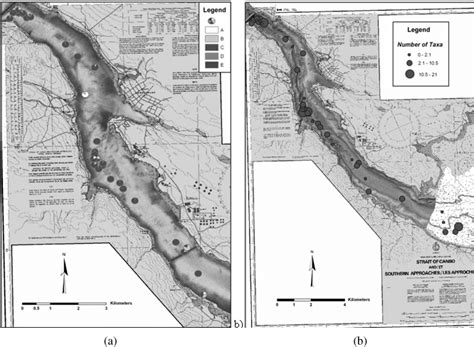 A Relative Frequency Distribution Of Assemblage Types In The Strait