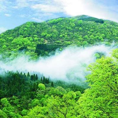 秦岭国家植物园景点信息 排行榜123网