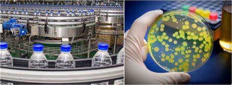Another Malaysian Bottled Water Brand Has Been Found To Have Bacteria