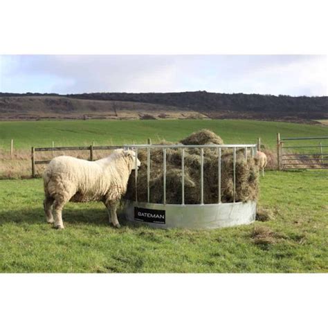 Wormer How To Prolong Efficacy With Sheep