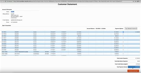 Unleashing Netsuites Power Achieve Web Payment Processing Freedom And
