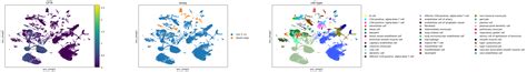 Exploring Biologically Relevant Clusters In Census Embeddings — Cellxgene Census Documentation
