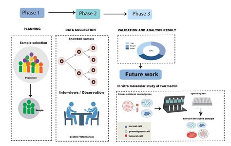 Nursing Reports Free Full Text Outcome Of Ivermectin In Cancer Treatment An Experience In