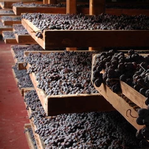 酒展2022中国进口葡萄酒展红酒展洋酒展会 Interwine 科通展览有限公司