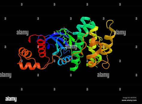 Maternal Embryonic Leucine Zipper Kinase An Enzyme Shown To Interact