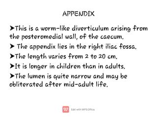 APPENDIX Bsc Nursing Medical And Surgical Nursing PPT