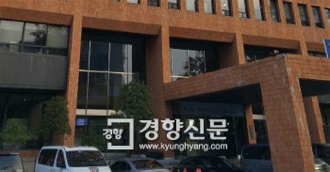 허위 출생신고로 수천만원 받은 항공사 승무원 6개월 도피 끝 검거