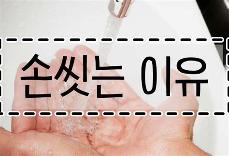 손씻는 이유 건강한습관 추가하세요 네이버 블로그