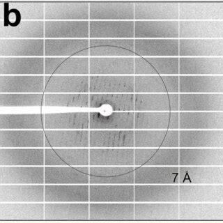 Fig S2 Representative X Ray Diffraction Patterns Diffraction Images Download Scientific