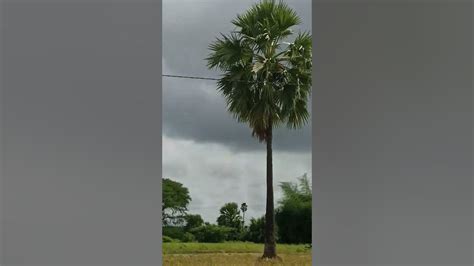 Itha Kallu Ithakallu Youtube