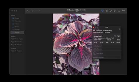 4 ways to view an image s exif metadata on a mac
