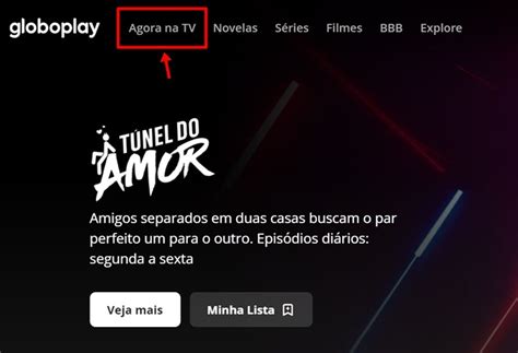 Athletico PR x Flamengo ao vivo onde assistir ao jogo do Brasileirão