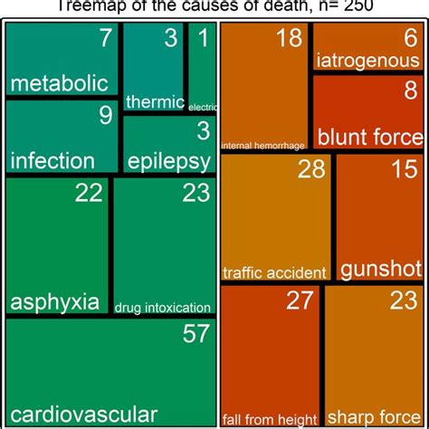 Measured Regions Of Interest The Liver And Spleen Were Measured On The