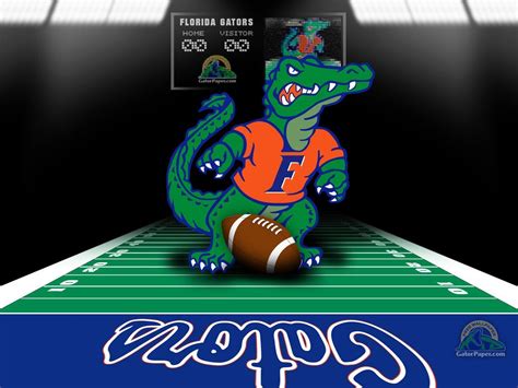 Florida Gators Football Wallpapers Wallpaper Cave