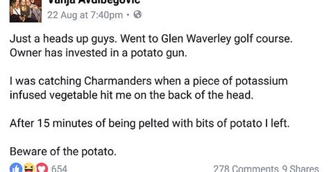 Beware Of Potato Gun Album On Imgur