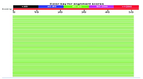 Color Key For Alignment Score Of Protein Query Sequence Indian Isolate