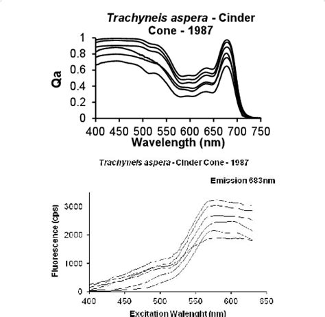 Spectral Absorption Efficiency Qaλ And Fluorescence Excitation