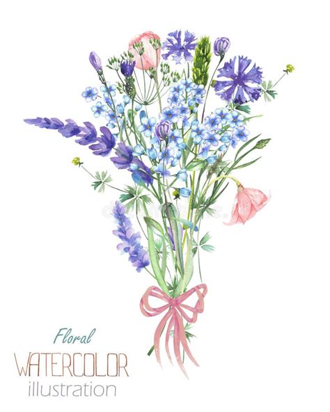 与美丽的水彩蓝色勿忘我草花、矢车菊和淡紫色花的花束的一个例证 库存例证 插画 包括有 邀请 淡紫色 69087817