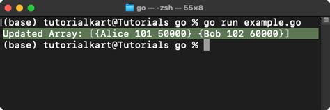 Array Of Structs Golang Examples With Crud Operations