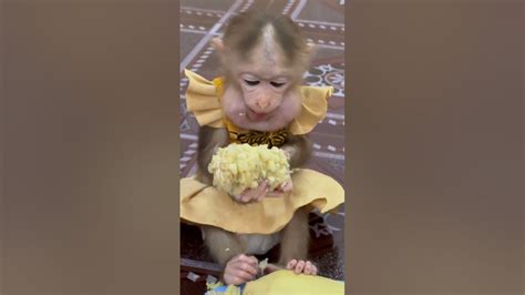 Chubby Girl Youtube