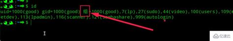 Linux查看用户所属组命令是什么 开发技术 亿速云