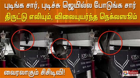 புடிங்க சார் புடிச்சு ஜெயில்ல போடுங்க சார் திருட்டு எலியும்