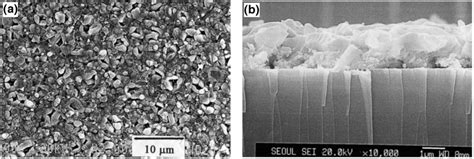 The Sem Micrographs Showing A A Typical Surface Morphology And B