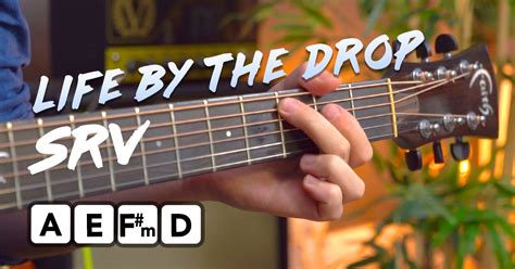 Life By The Drop Stevie Ray Vaughan Andy Guitar