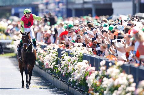 Melbourne Cup Day 2024 Results For Every Race