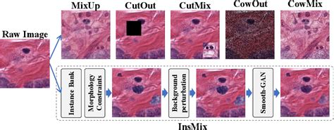Figure 1 From Insmix Towards Realistic Generative Data Augmentation For Nuclei Instance